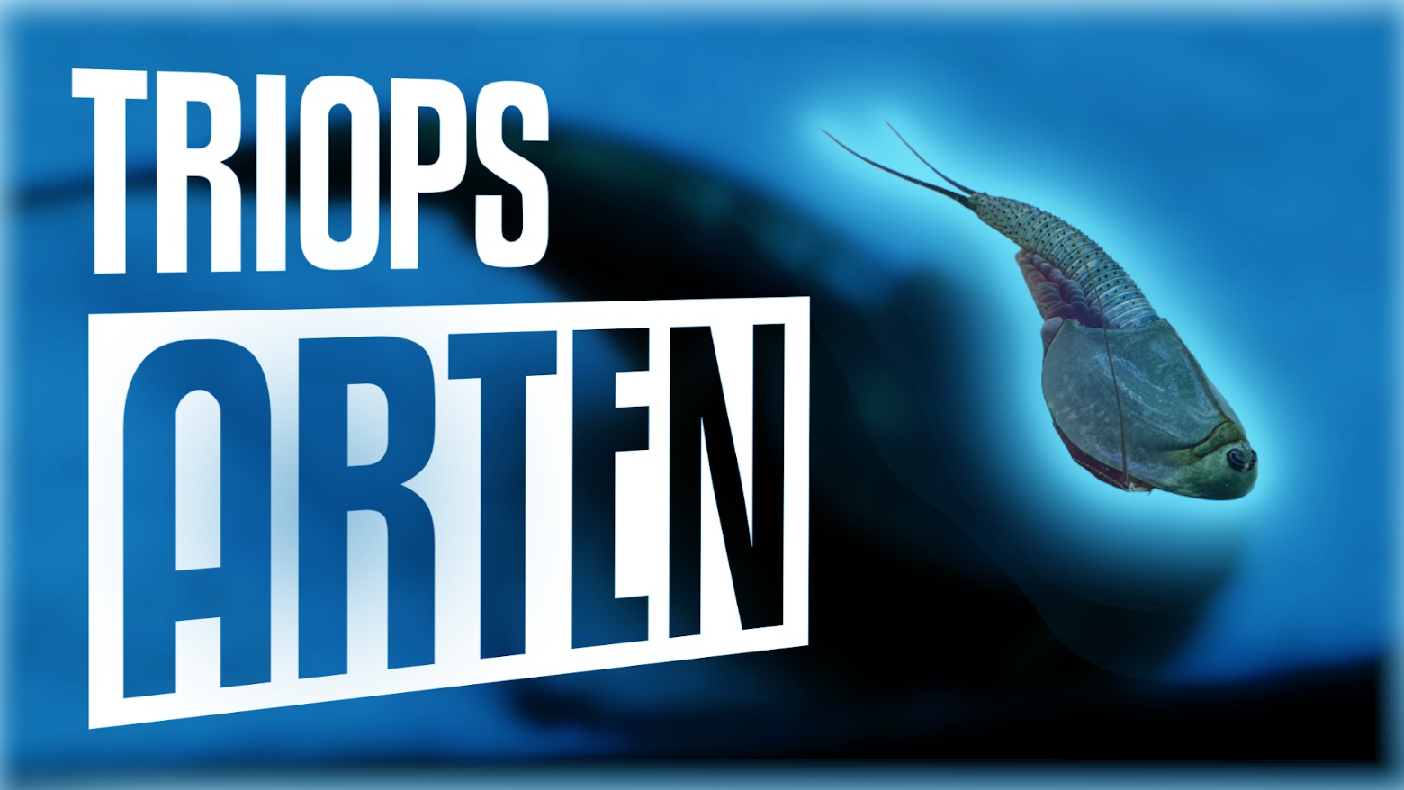 Triops species: These primeval crab species exist - Triops Galaxy