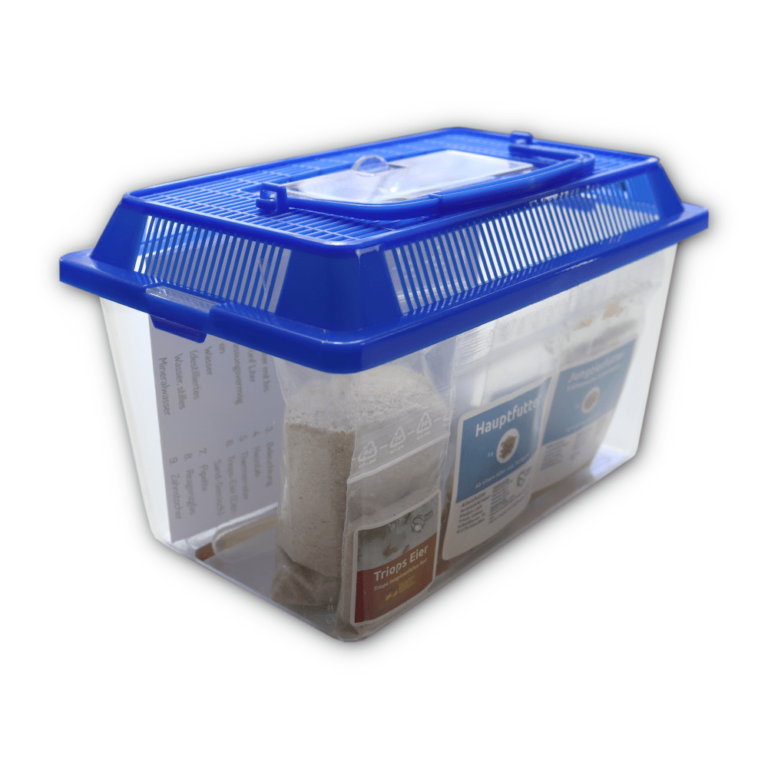 Triops-Sets für Anfänger und Fortgeschrittene - Triops Galaxy