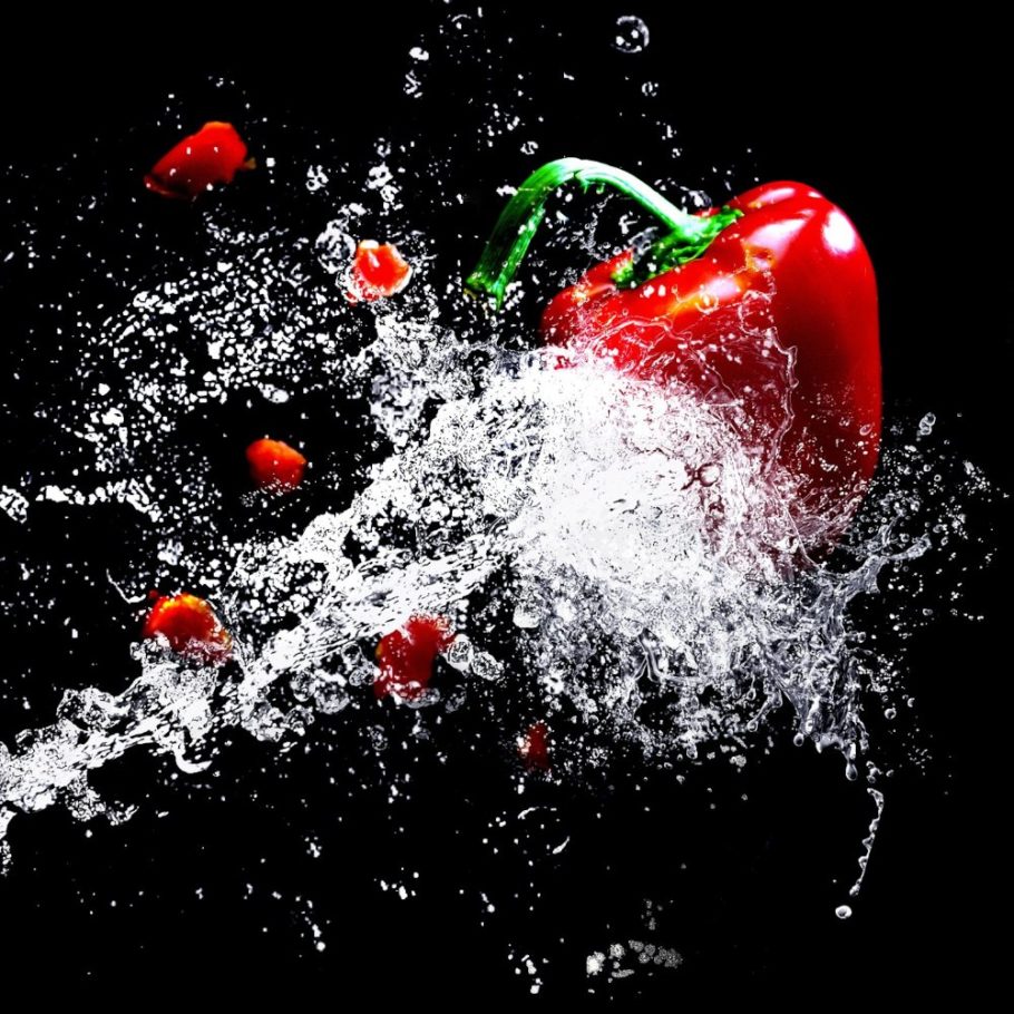 Feeding Triops: How to feed Triops [With instructions] - Triops Galaxy