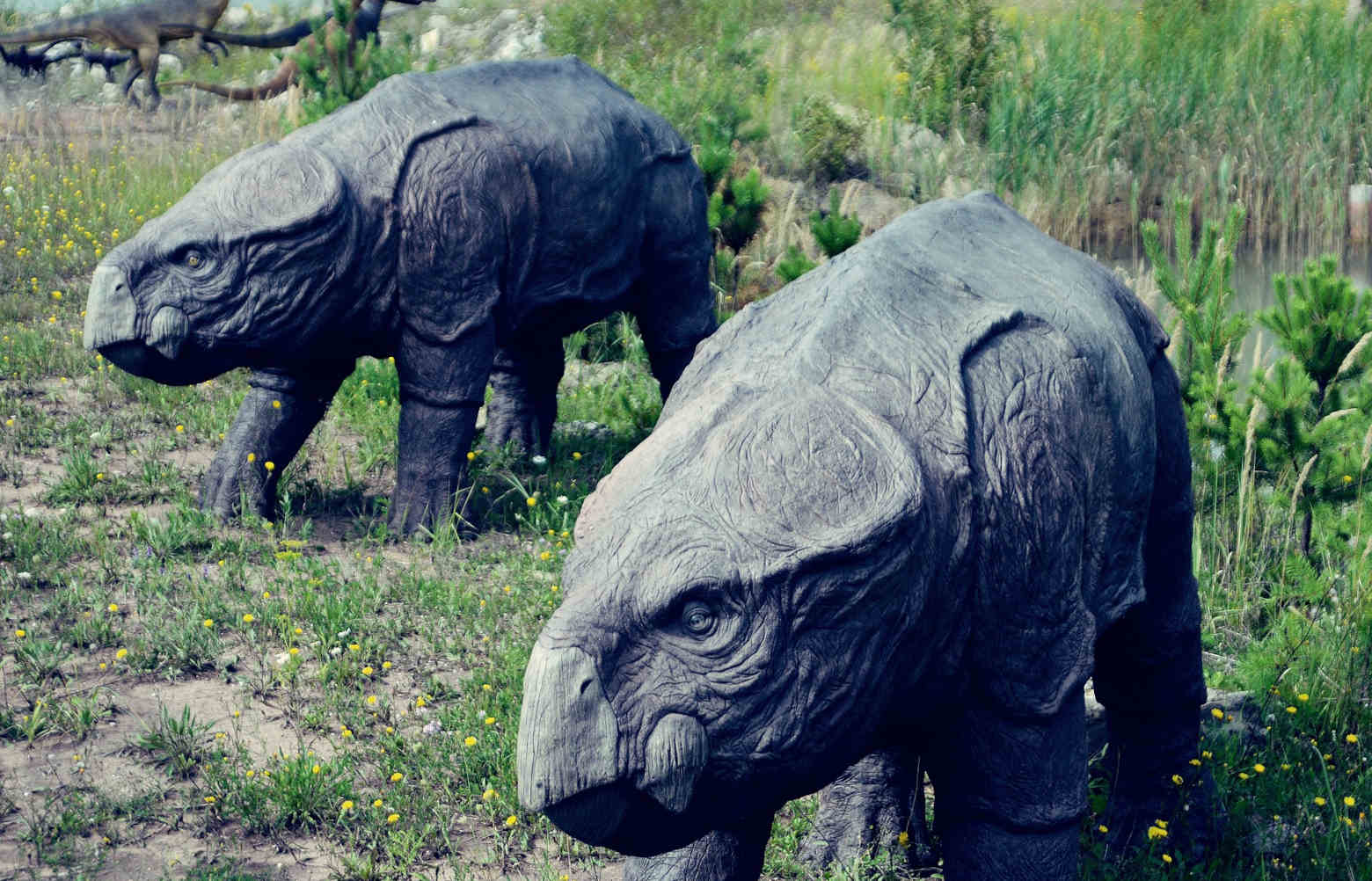 Palaeontology: Mammal ancestor with sabre teeth - Triops Galaxy